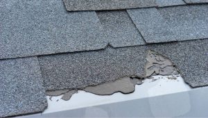 How Do I Know If My Roof Shingles Are Bad? 8 Signs to Look For – Best ...