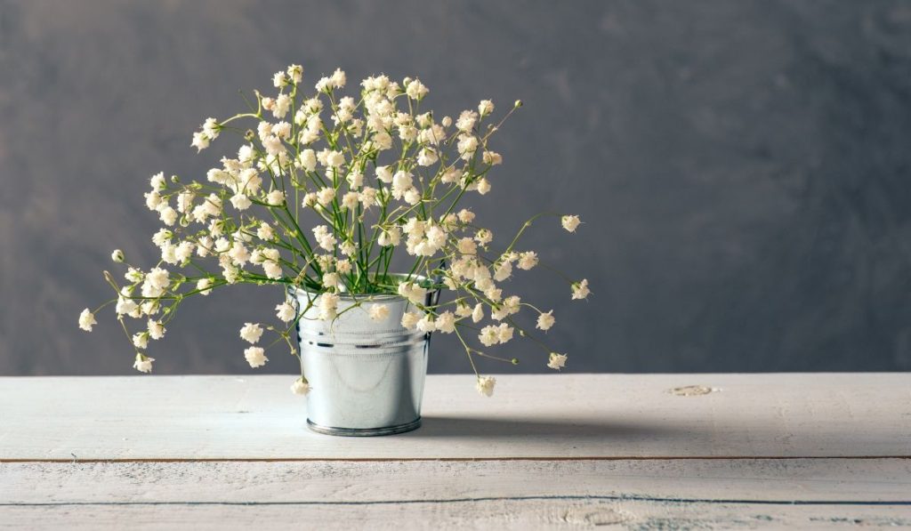 How To Decorate Your Home Interior With Flowers: Full Guide – Best Home ...