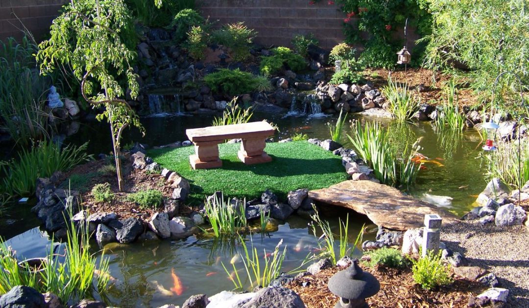 10 Stunning Ways to Turn an Old Pond into Something Amazing! – Best ...